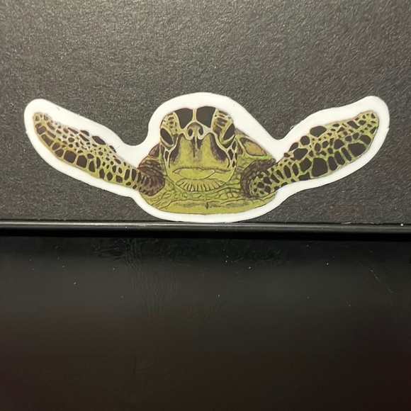 Design | Swimming Green Sea Turtle Sticker | Poshmark